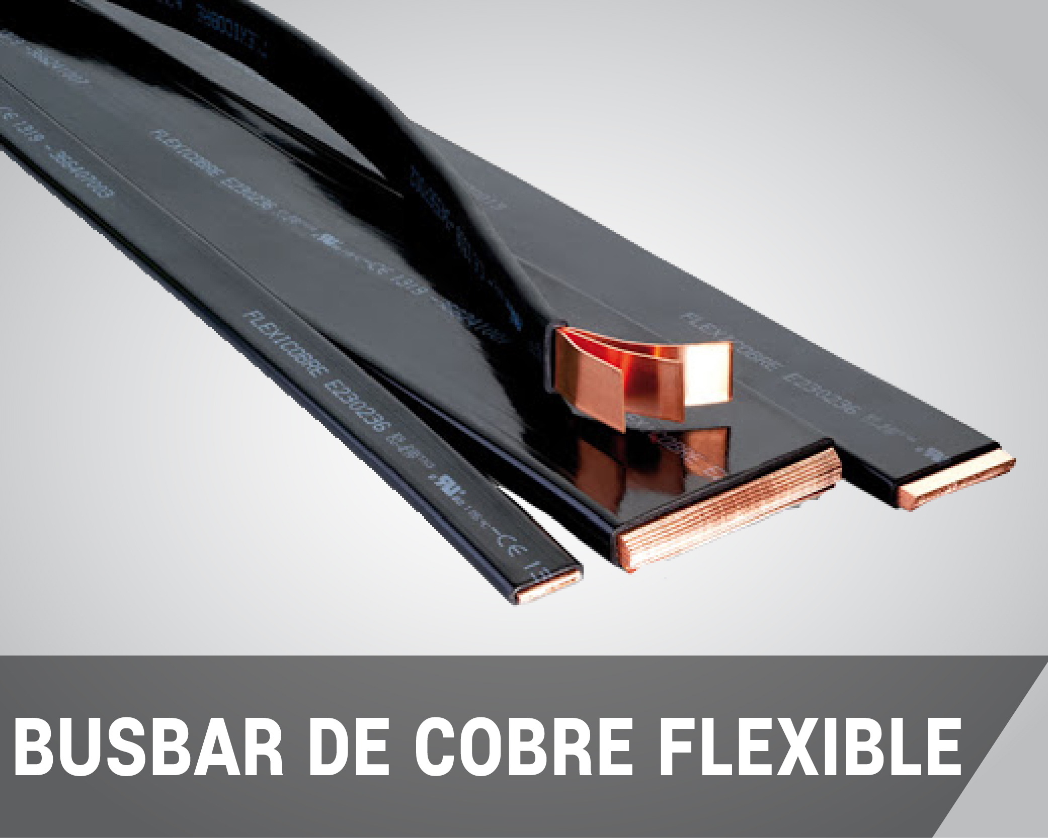 Productos | Zion & Ebenezer Technologies